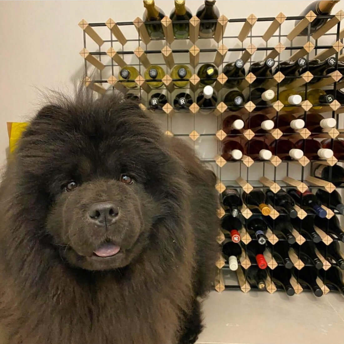 Cable Wine Rack - Wine Stash USA